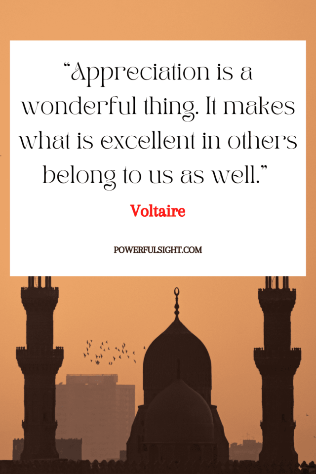 40 Gratitude Quotes To Show Appreciation - Powerful Sight